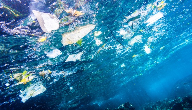 The Increased Health and Litigation Risks of Microplastics