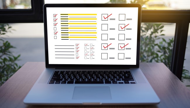 Emerging Risk Survey