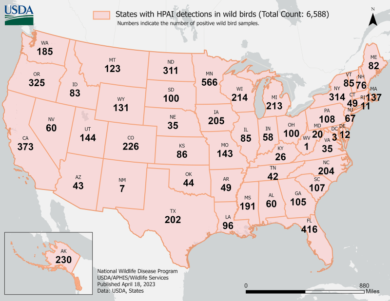 how many birds have died from bird flu in the united states