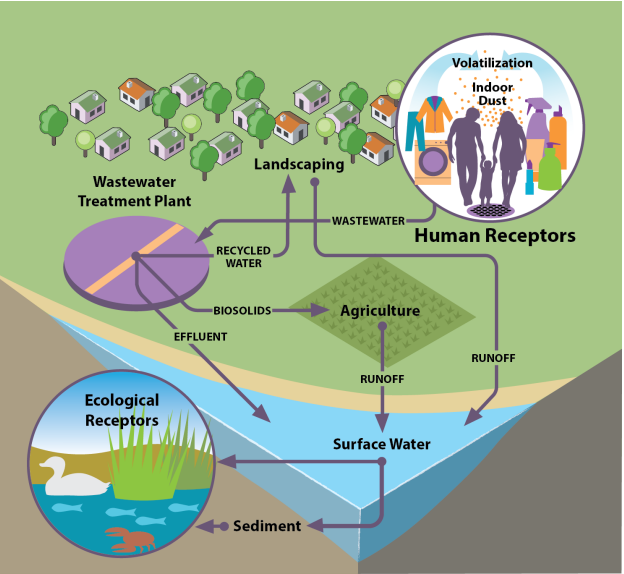 Alkylphenol Ethoxylates APEs Primer